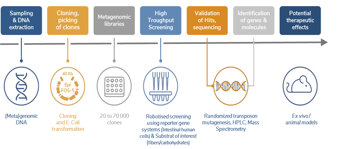 Functional metagenomics - MetaGenoPolis